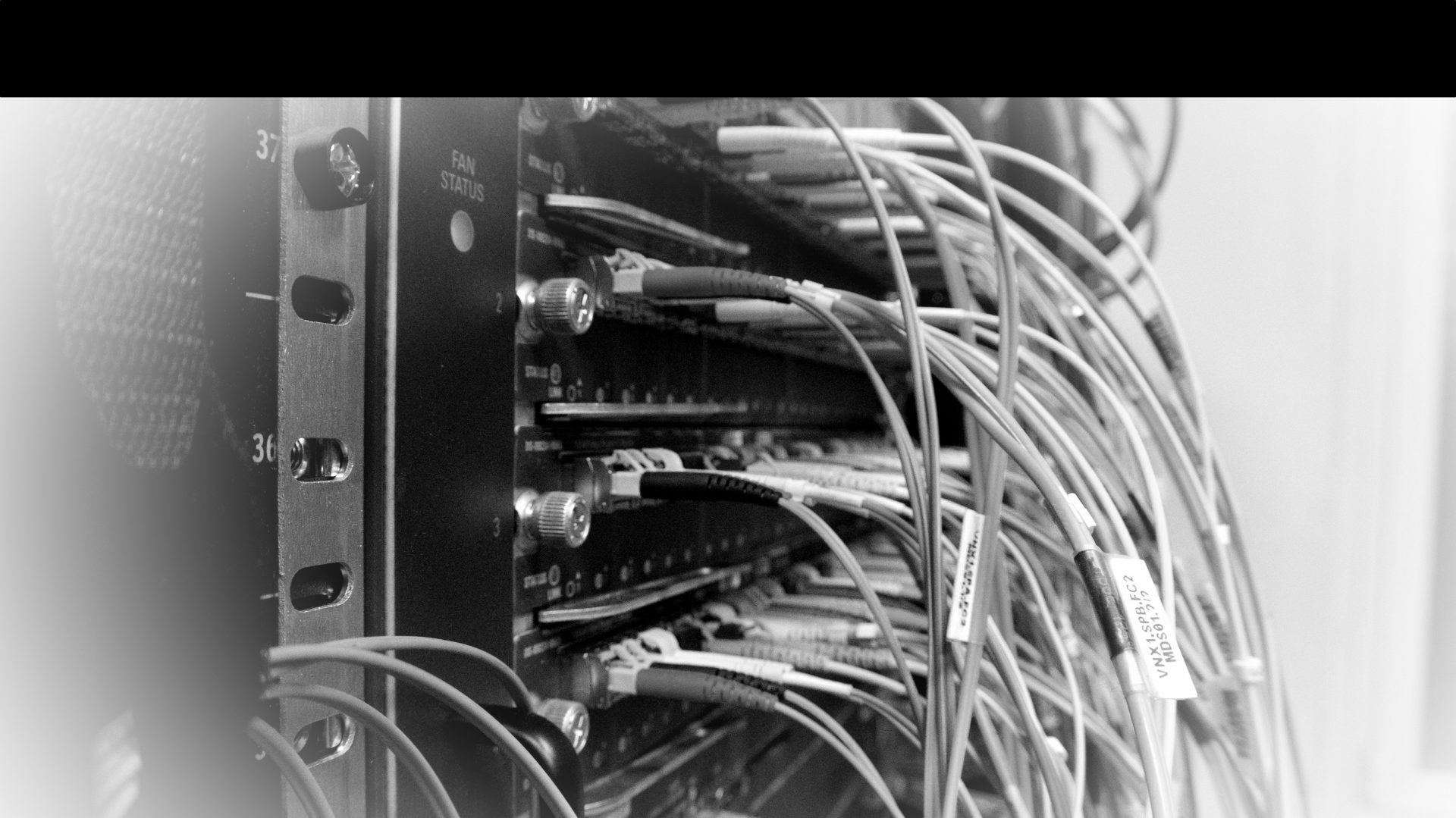 p7m digital signature: how to extract the content - Quoll tech